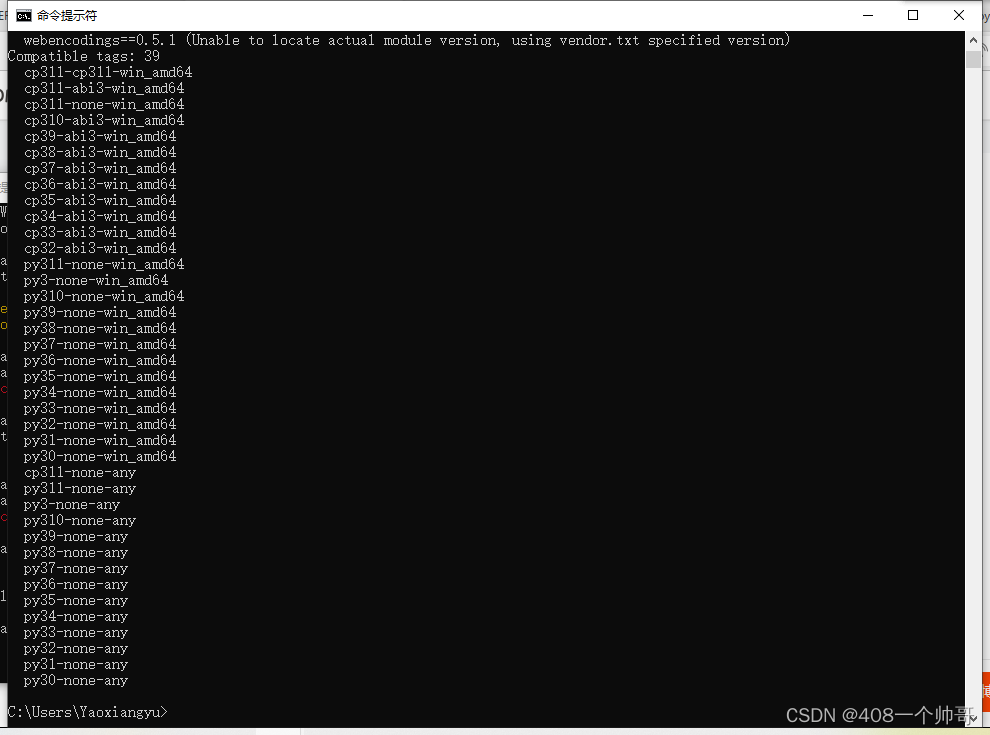 python报错：torch-0.4.1-cp36-cp36m-win_amd64.whl is not a supported wheel on this platform._安装 ...