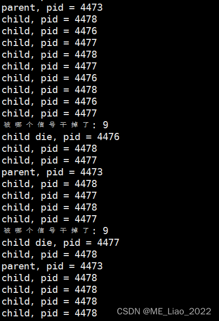 wait函数与waitpid函数-CSDN博客