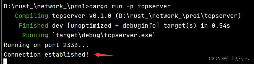 Rust Web（一）—— 自建TCP Server_rust tcp server-CSDN博客