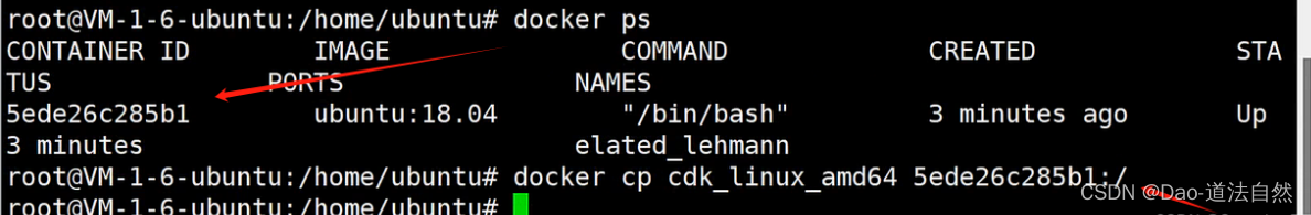Day96：云上攻防-云原生篇&Docker安全&系统内核&版本漏洞&CDK自动利用&容器逃逸_apt-cache madison docker-ce不显示docker 18.09.2-CSDN博客