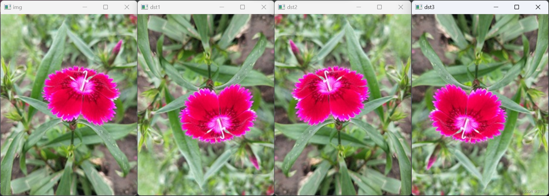 【OpenCV入门】第七部分——图像的几何变换_请描述src,flipcode参数及对应返回结果dst的具体含义。-CSDN博客
