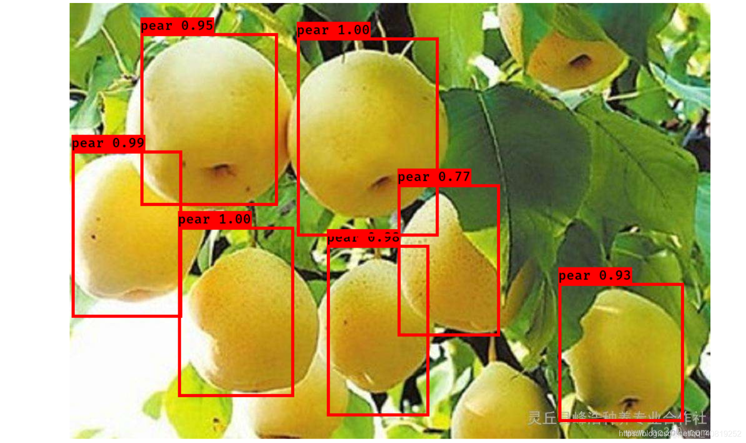 yolo和yolo-tiny实际使用对比_yolo tiny-CSDN博客