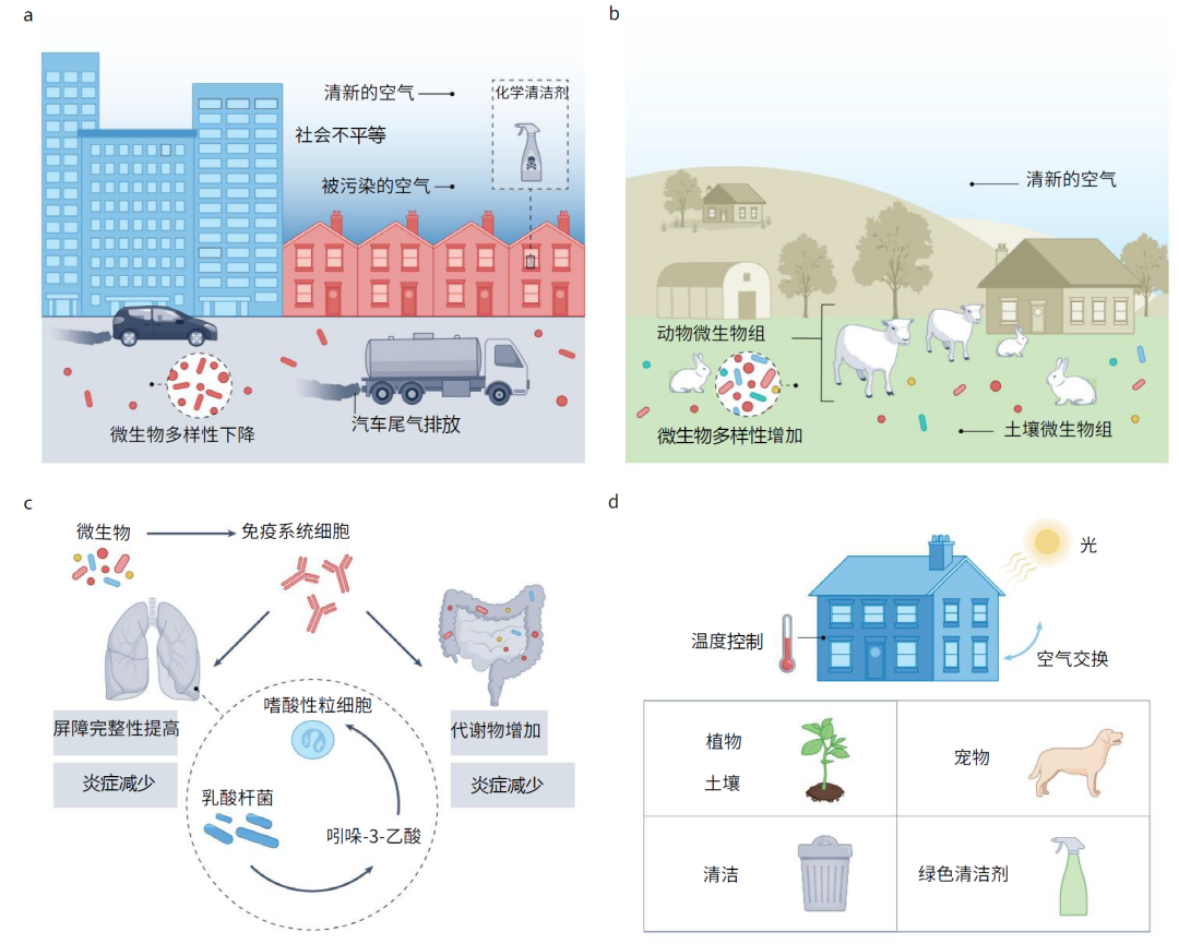 Nature综述 | Jack Gilbert组-室内微生物组与人体健康-CSDN博客