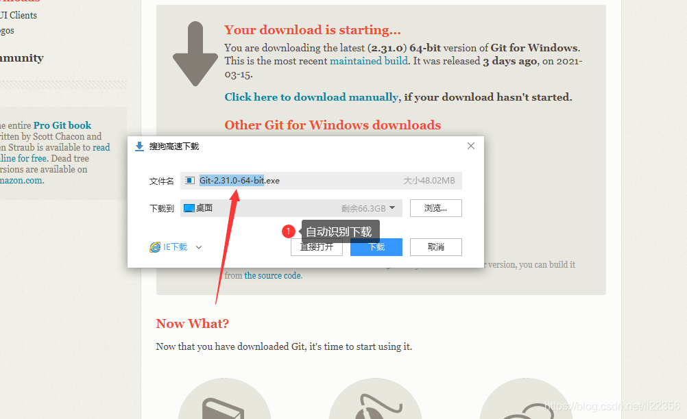 Windows版本的Git安装详细教程_git2.29安装-CSDN博客