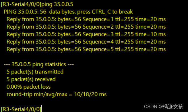 构建IP网络环境：PPP认证、GRE隧道与DSVPN配置-CSDN博客