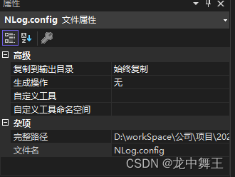 .NET 控制台NLog 使用_net nlog-CSDN博客