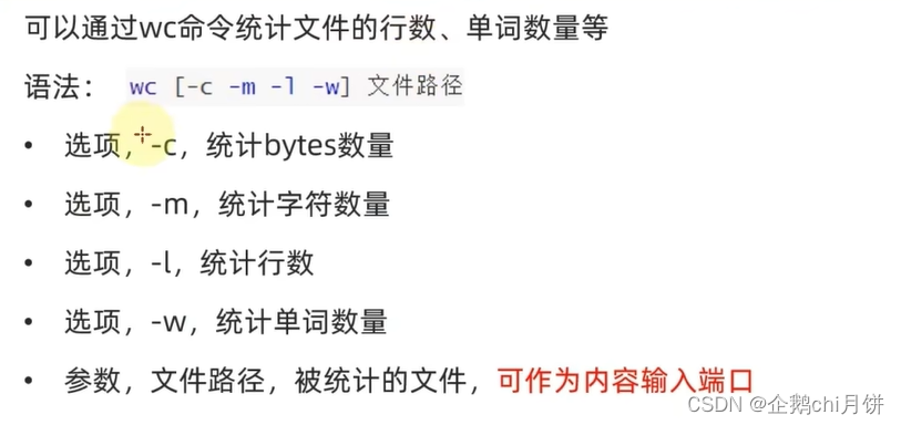 Linux命令进一步学习：which，find，grep，管道符，echo，tail，重定向符，Vim编辑器详细介绍，终端快捷键和小技巧_which echo-CSDN博客