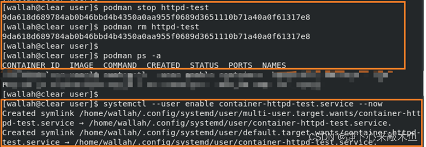 Linux Podman容器介绍_podman创建容器-CSDN博客