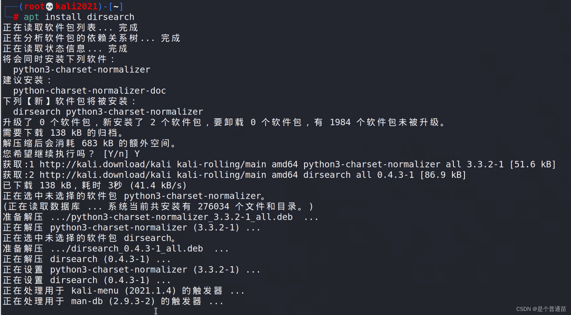 kali安装dirsearch命令模块-CSDN博客
