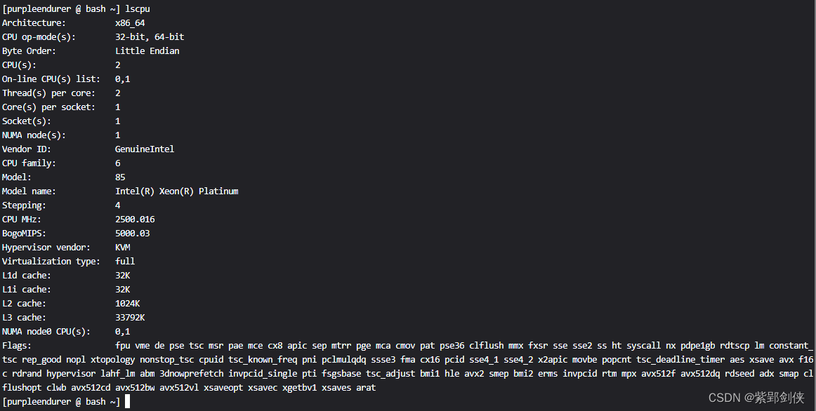 Linux shell编程学习笔记52： lscpu命令 查看CPU详细信息_lscpu信息-CSDN博客