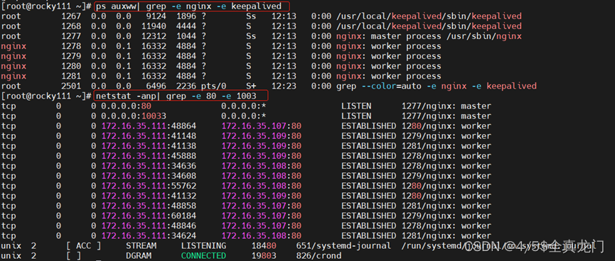 4.3 实施部署Nginx 高可用负载均衡集群_java nginx高可用部署-CSDN博客