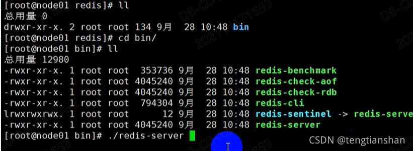 redis安装_redis make prefix-CSDN博客