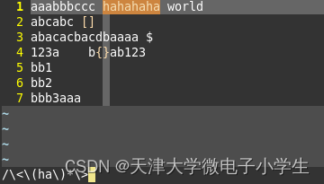 VIM奇技淫巧-VIM/GVIM中的正则匹配_gvim正则匹配-CSDN博客