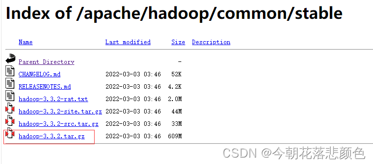 Hadoop集群部署教程-CSDN博客