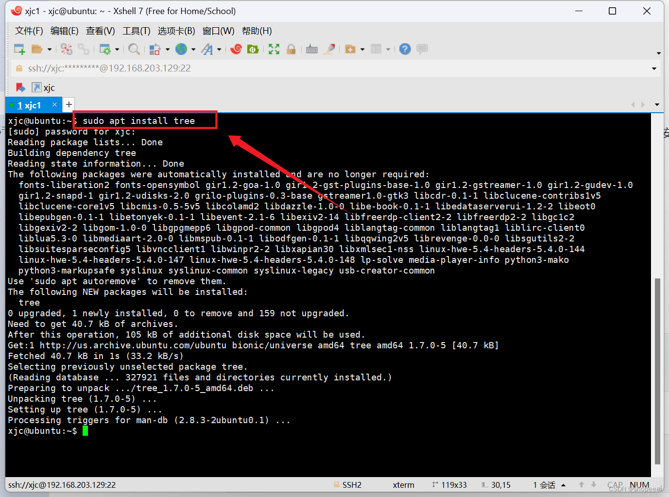 【linux】linux 系统编程——tree 命令tree命令 Csdn博客 