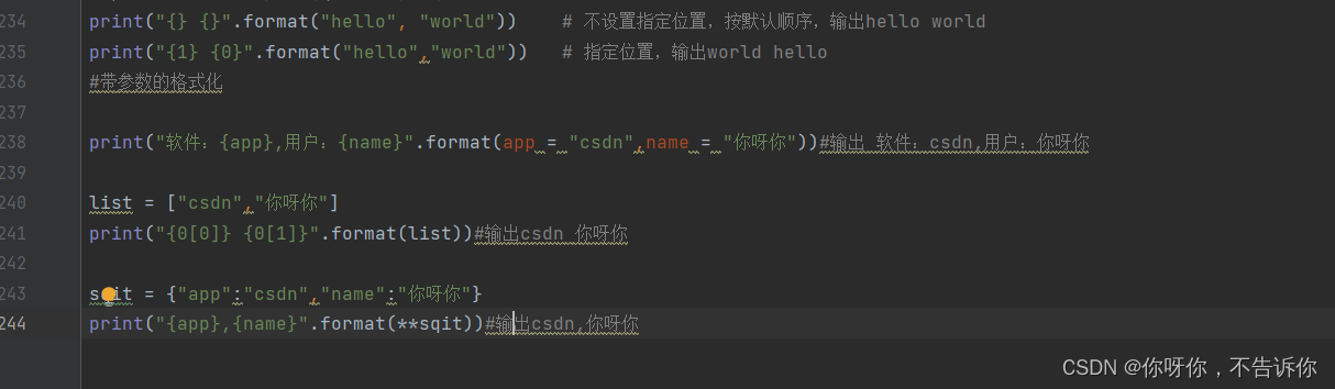 python入门基础知识（format格式化函数）_python format函数用法{0:3}-CSDN博客