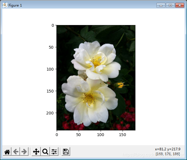 Tensorflow2 图像分类-Flowers数据及分类代码详解_图像分类flower-CSDN博客