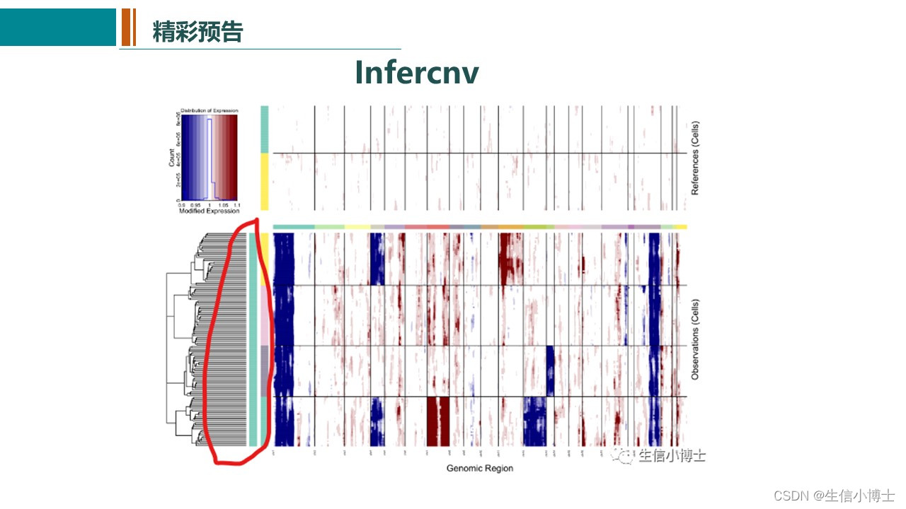 2023-11-28-直播单细胞图表美化-seurat数据结构 featureplot dotplot vlnplot_nebulosa如何分组-CSDN博客