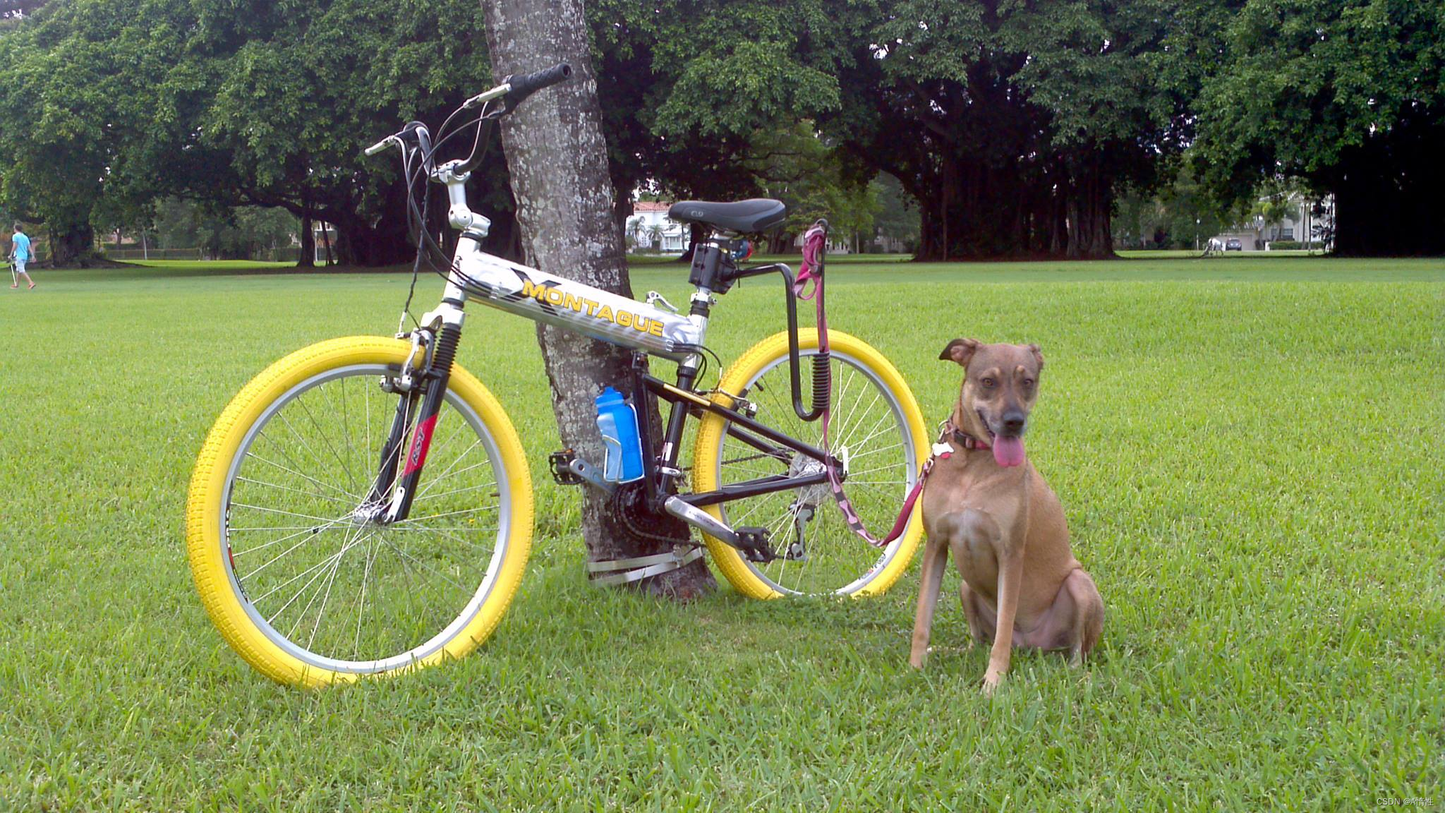 Windows11+cpu 配置detectron2（超超超保姆级教学）_detectron2 cpu-CSDN博客