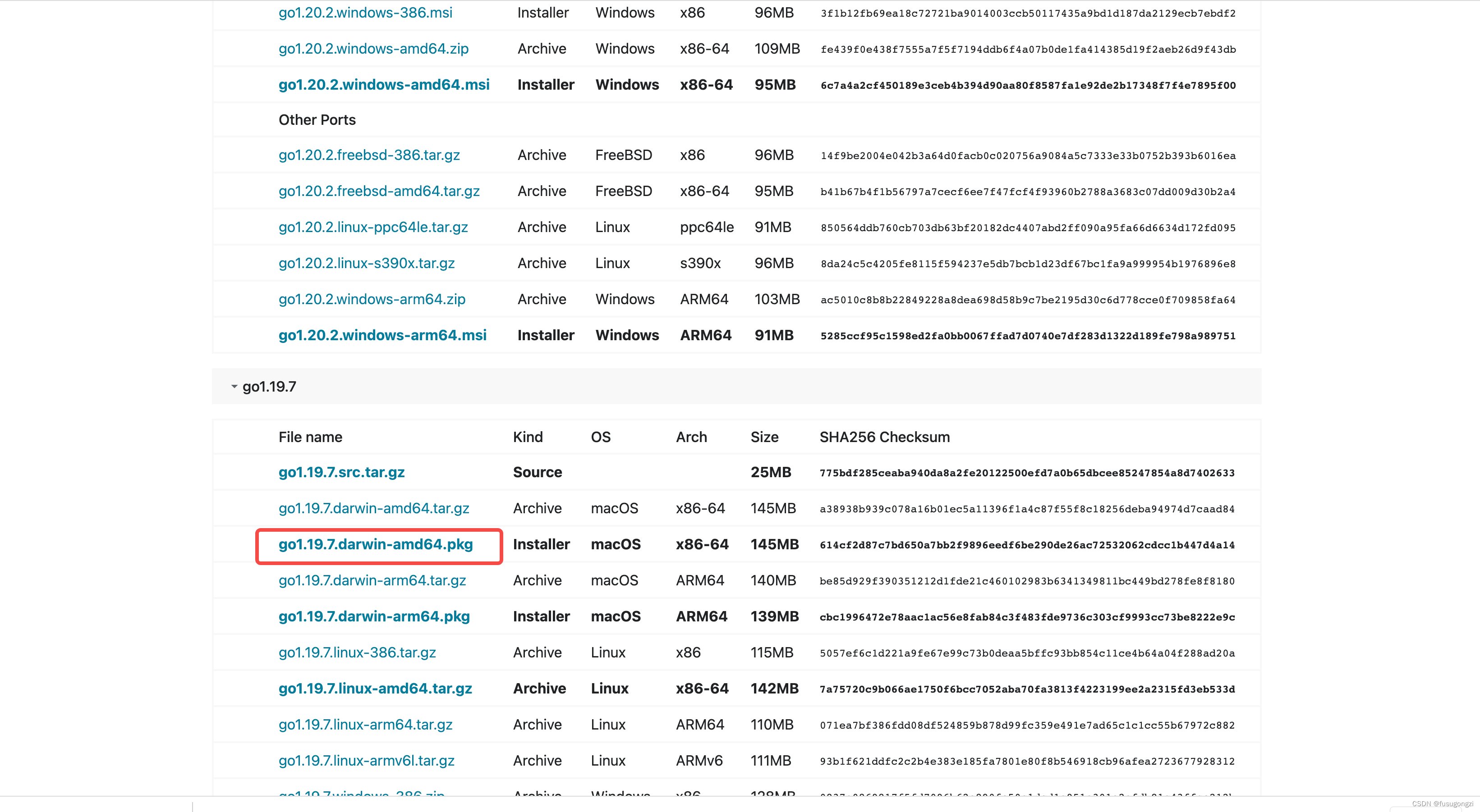 mac 安装 golang_mac go 下载-CSDN博客