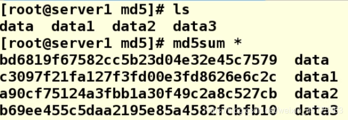 Linux安全校验—md5sum-CSDN博客