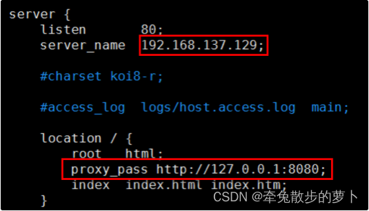 四、 Nginx配置实例-反向代理_nginx反向代理 localhost-CSDN博客