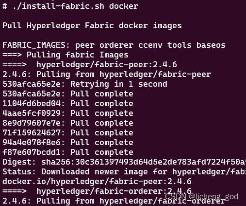 【已解决】Hyperledger Fabric 2.3创建通道失败问题Channel creation failed-CSDN博客