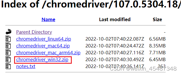win10安装chromedriver.exe-CSDN博客