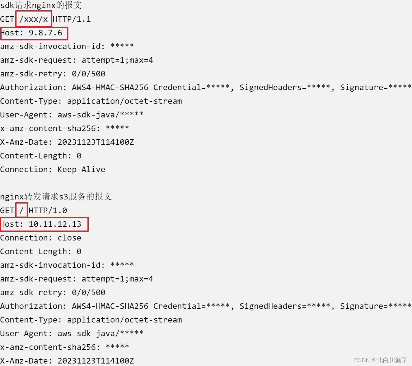 使用nginx代理s3服务（私有云存储）_nginx代理s3存储-CSDN博客