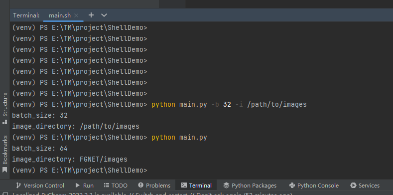 写一个python文件，在shell脚本中运行_pycharm运行shell脚本-CSDN博客