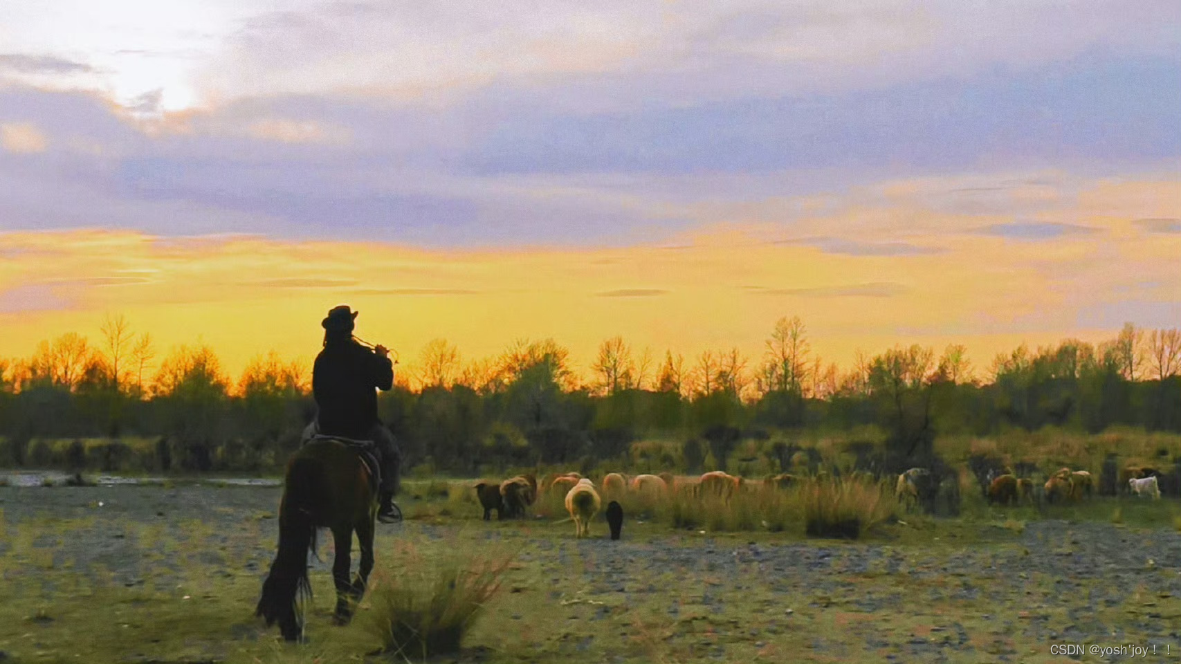 JSP入门+EL表达式+JSTL标签_jsp el表达式foreach-CSDN博客