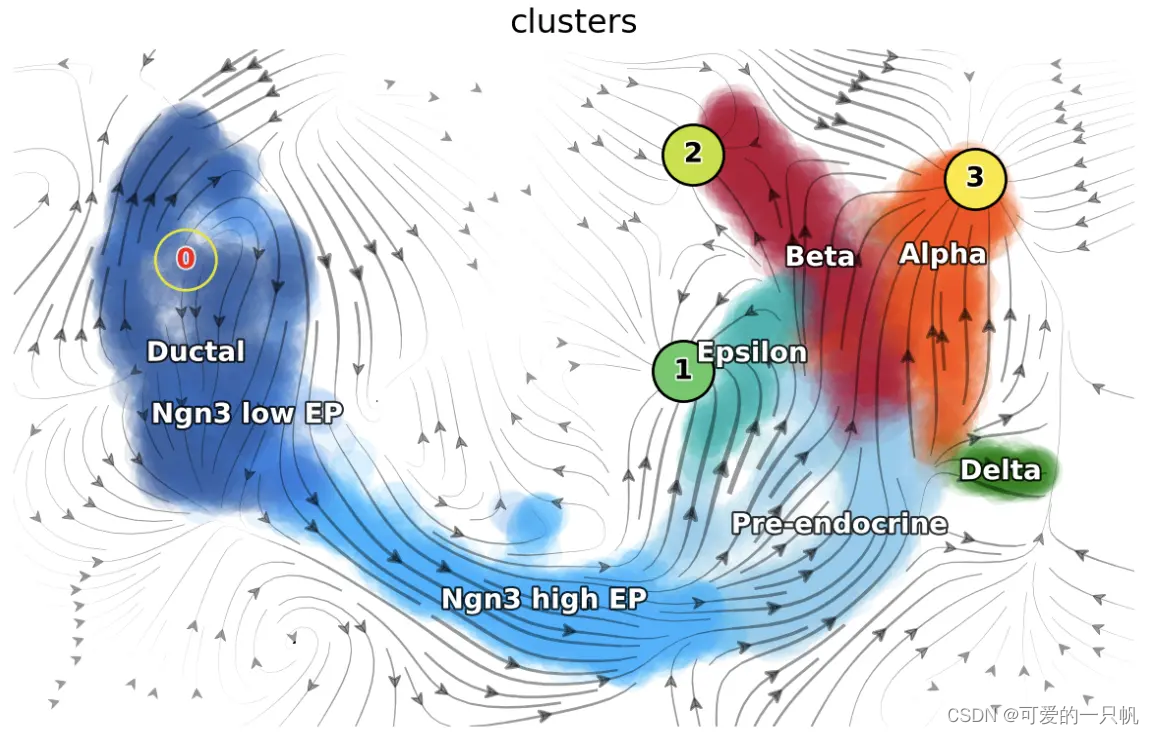 单细胞｜RNA速率下游 · Dynamo_dynamo rna速率-CSDN博客
