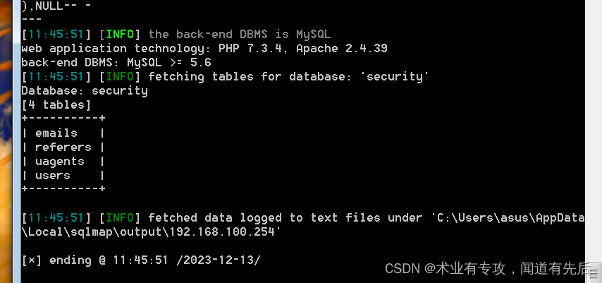 Web(8)sqlmap工具使用_web网站 sqlmap demo-CSDN博客