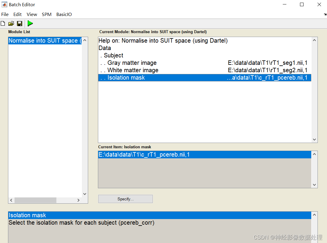 使用SUIT进行小脑体积分割与皮层计算_suit工具箱-CSDN博客