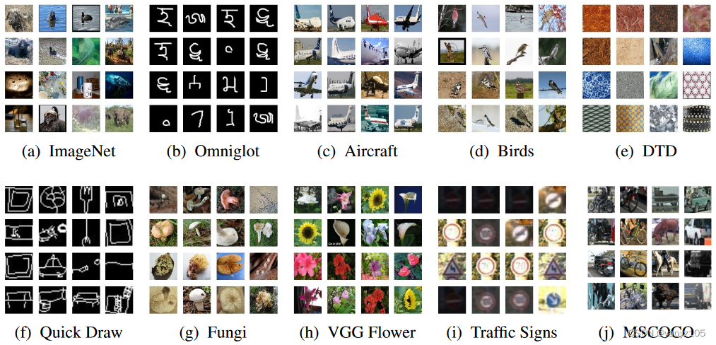 Meta-Dataset 数据集介绍及处理-CSDN博客