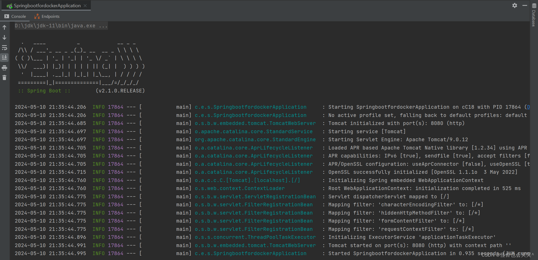 idea运行SpringBoot项目爆红提示出现：Java HotSpot(TM) 64-Bit Server VM warning...让我来看看~_java hotspot(tm) 64 ...