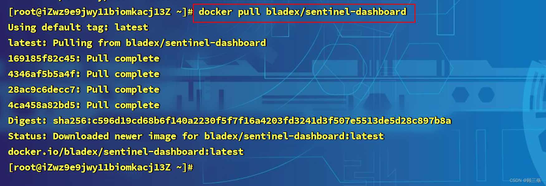 【Linux】Centos 8 服务器部署：docker 安装 jdk、nginx、nacos、redis、Sentinel Dashboard_docker部署jdk-CSDN博客