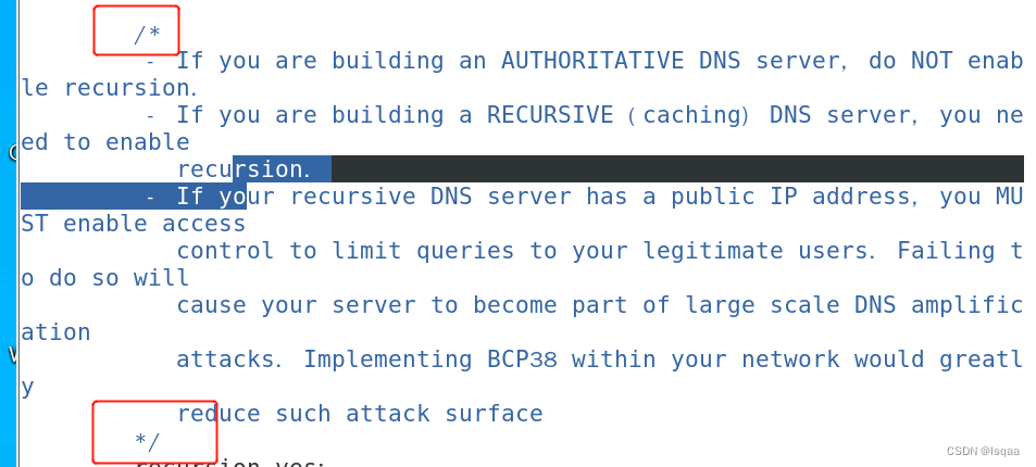 Linux系统中—DNS服务器（一）_linux dns server-CSDN博客