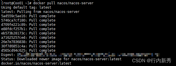 docker 安装 nacos 超简单_docker nacos简易-CSDN博客