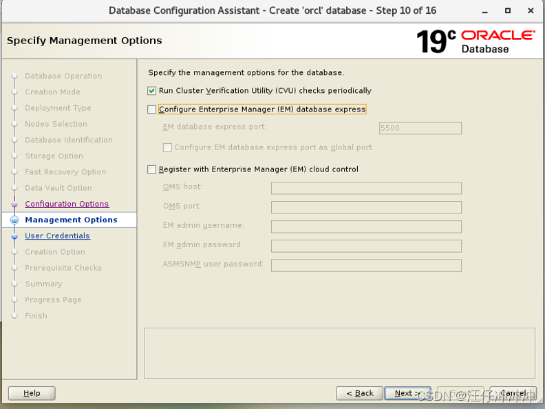 oracle 19c rac搭建详细攻略_oracle19c数据库实例-CSDN博客