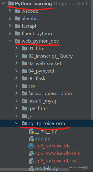 数据库和ORMS：使用Tortoise ORM与数据库通信_tortoise-orm-CSDN博客