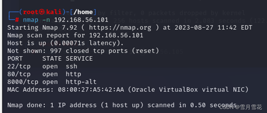 学习nmap的一些使用方法分享_nmap设置扫描速度-CSDN博客