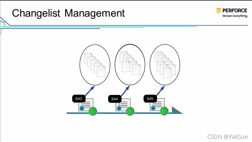 翻译P4V官方教程（3）Using Changelists to Manage Files_p4v如何修改文档-CSDN博客
