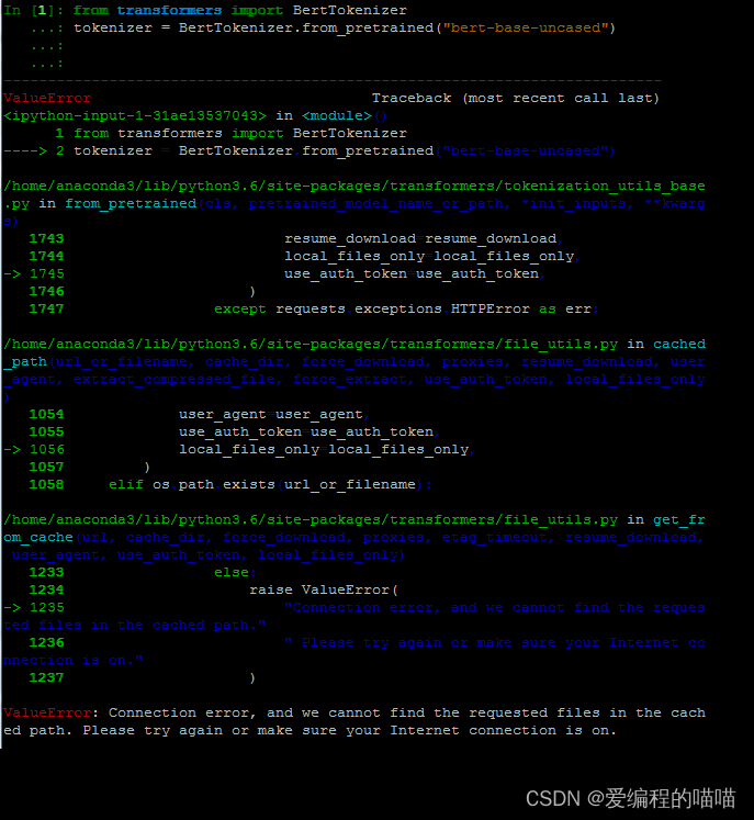 ValueError: Connection error, and we cannot find the requested files in the cached path.解决方案-CSDN博客
