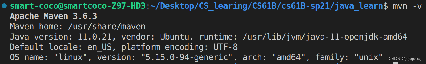 Linux下配置vscode+maven进行java开发_linux vscode maven-CSDN博客