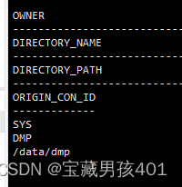 oracle expdp导出数据和impdp导入数据_expdp 导入-CSDN博客