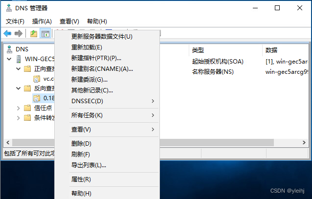 Windows Server 2016搭建DNS服务_server2016辅助dns配置-CSDN博客