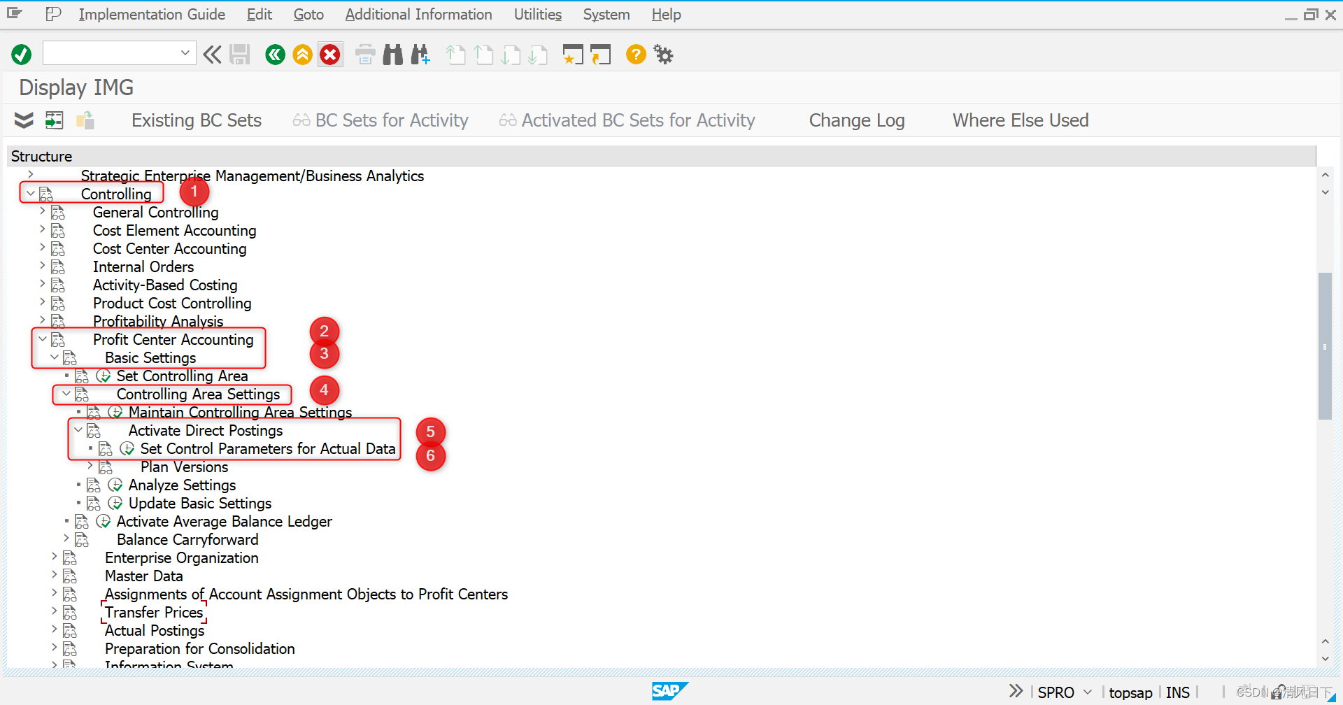 47 CO配置-控制-利润中心会计-设置实际数据的控制参数(1KEF-Set Control Parameters for Actual ...