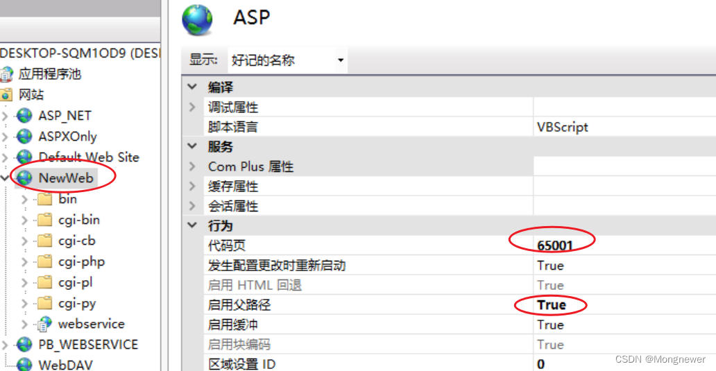 IIS WebDAV配置，https绑定及asp设置-CSDN博客